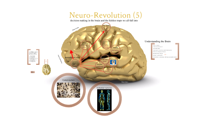 Neuro-Revolution (5) - Decision making in the brain and the hidden ...