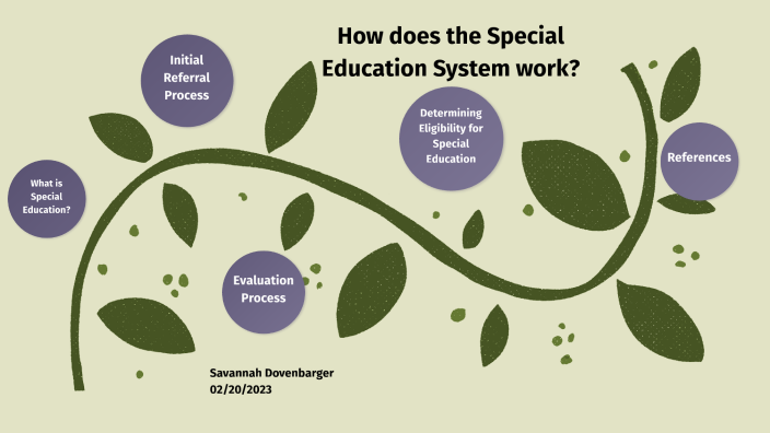 How does the Special Education System work? by Savannah Dovenbarger on Prezi