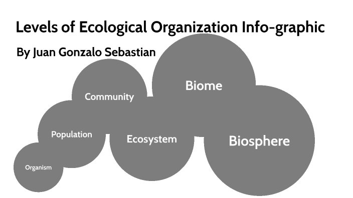 Levels of Ecological Organization Infographic by Juan Gonzalo Sebastian ...