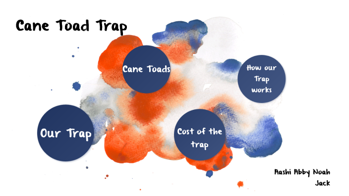 Cane Toad Trap by aashi padhiar on Prezi