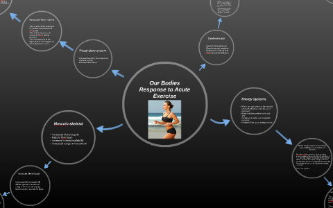 Our Bodies Response to Acute Exercise by Dan Quick on Prezi