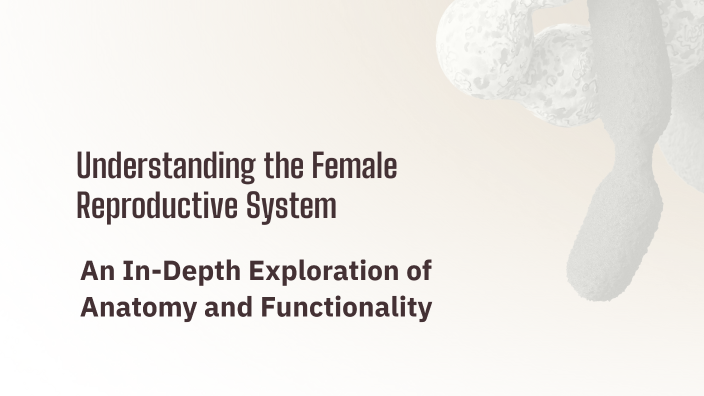 Understanding the Female Reproductive System by Savannah R (2233010) on ...