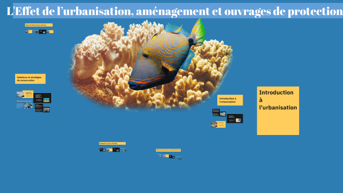 Les effets de l'urbanisation sur la biodiversité marine by ami hadj on ...