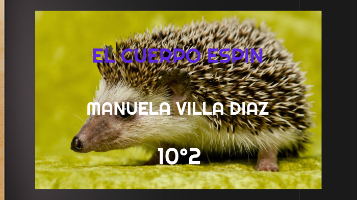 EL CUERPO ESPIN by Manuela Villa Diaz on Prezi