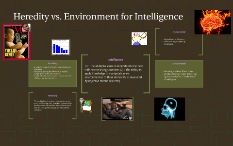 Heredity vs. Environment for Intelligence by Kiki Radigan