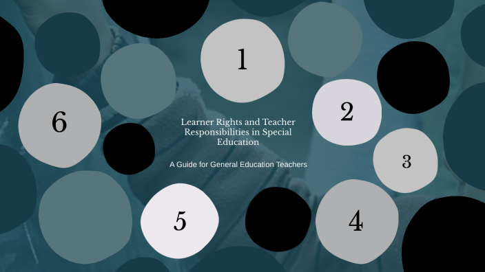 Learner Rights and Teacher Responsibilities in Special Education by ...