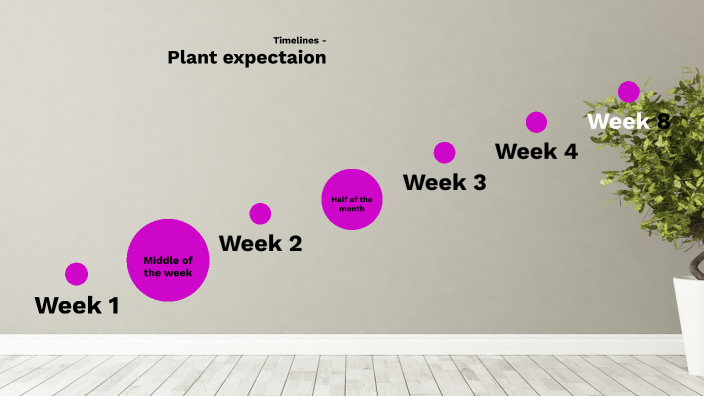 Plant Timeline by JANCEL TAVERAS SALCEDO on Prezi