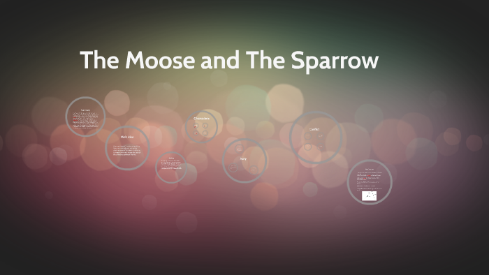 The Moose and The Sparrow by Ryan Riggs on Prezi