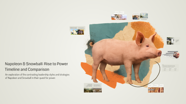 Napoleon & Snowball: Rise to Power Timeline and Comparison by Nguyen ...