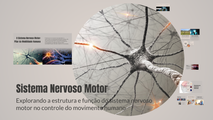 Sistema Nervoso Motor, primeiro e segundo neuronio\ by RAimundo Marcial ...