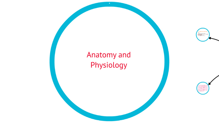 Chapter 6: Anatomy and Physiology by on Prezi