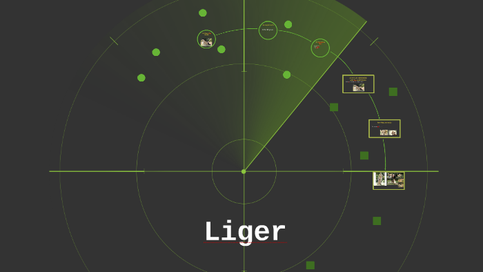 Liger by Nicholas Perrine on Prezi