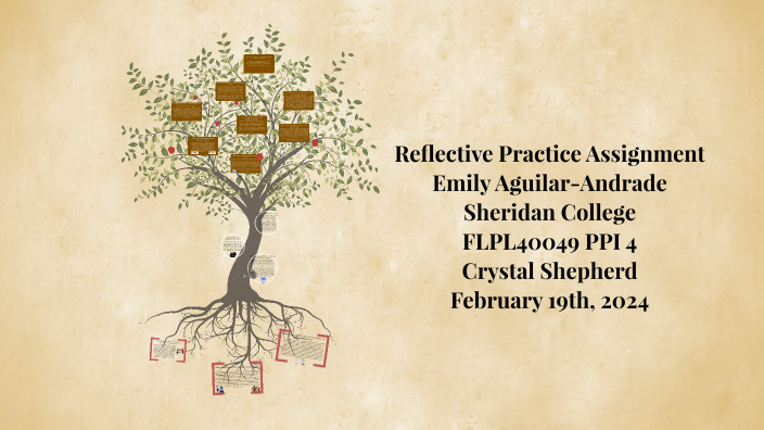Reflective Practice Assignment by Emily Faith on Prezi