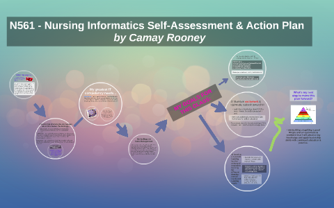 N561 - Nursing Informatics Self-Assessment & Action Plan by Camay ...