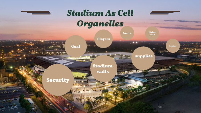 Stadium As Cell organelles by Martin Tancevski on Prezi