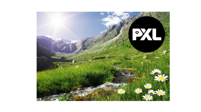 X-Factor PXL by Soraya Peeters on Prezi