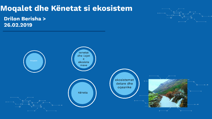 Moqalet dhe Kënetat si Ekosistem by drilon berisha on Prezi