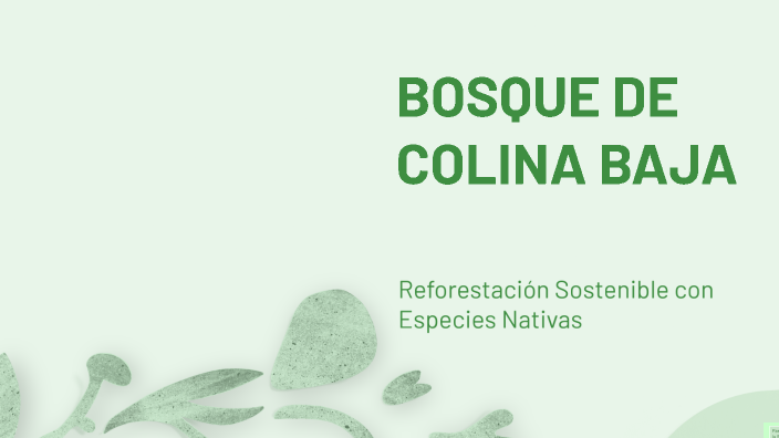 BOSQUE DE COLINA BAJA by abraham requiz on Prezi