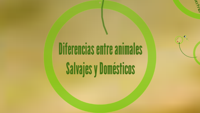 Diferencias entre animales salvajes y domésticos by Paula Dominguez ...