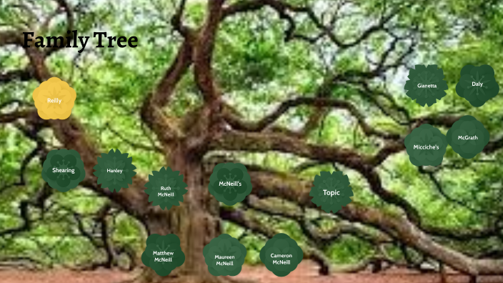 Family Tree by Maureen McNeill on Prezi
