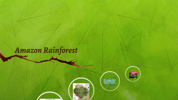 amazon rain forest by jayden agius on Prezi