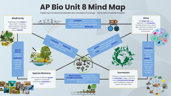 AP Bio Unit 2 Study Map by Isabela Rosales on Prezi