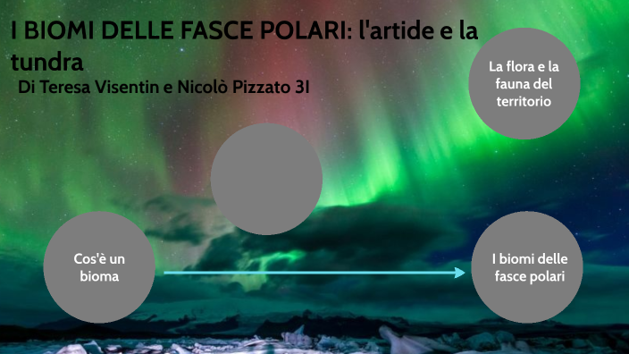 I BIOMI DELLE FASCE POLARI by Terry Vise on Prezi