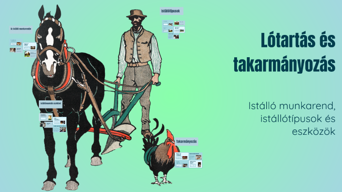 Lótartás és takarmányozás by Anett Molnár on Prezi