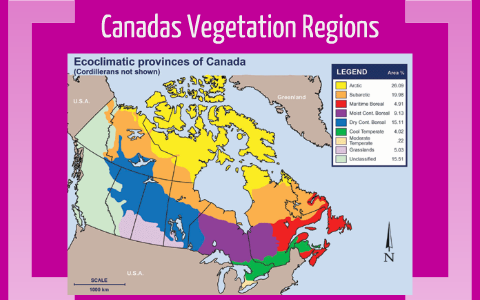 Canada`s Vegetation Regions by Nicole Dykstra on Prezi