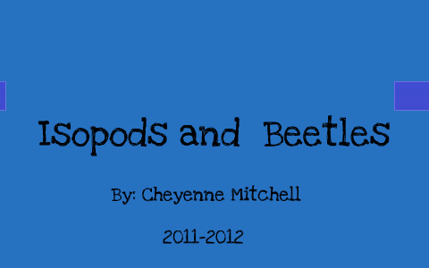 Isopods & Beetles by Janette Stecker on Prezi