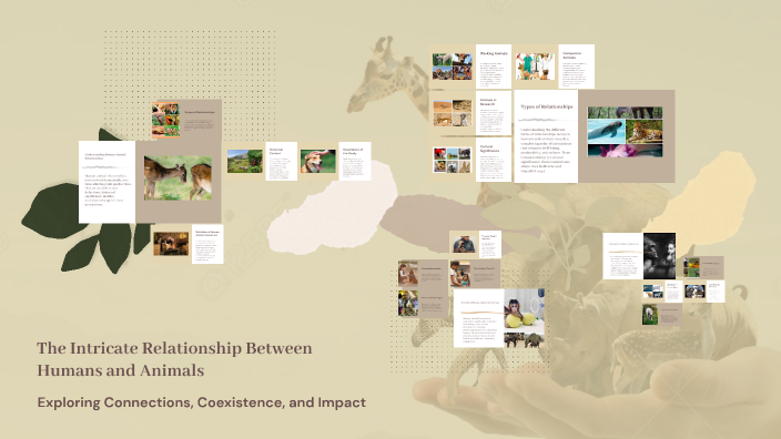 The Intricate Relationship Between Humans and Animals by English for ...