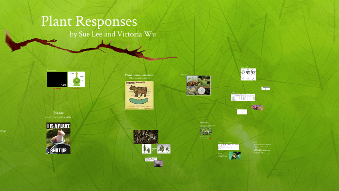 Plant Responses by on Prezi