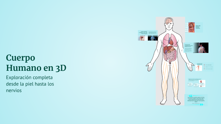 Cuerpo Humano en 3D by KEIRY DANIELA RODRIGUEZ BETETA on Prezi