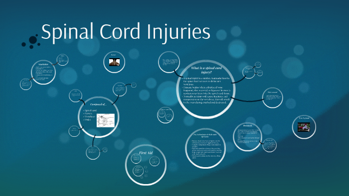 Spinal Cord Injuries by Megan Sleeth on Prezi