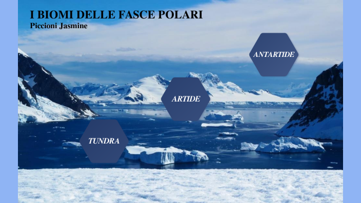 I BIOMI DELLE FASCE POLARI by Jasmine Piccioni on Prezi