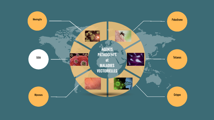 Agents pathogènes et maladies vectorielles by Jean-Claude MOU KUI on Prezi