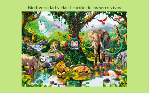 Biodiversidad y clasificación de los seres vivos by Alexia Reyes on Prezi