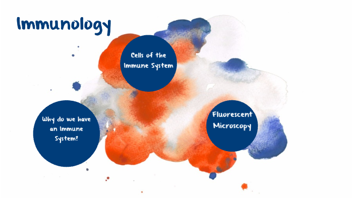 The Immune System by Jack Treml on Prezi