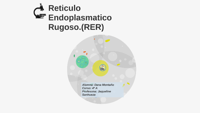 Reticulo Endoplasmatico Rugoso.(RER) by danna selena montaño ...