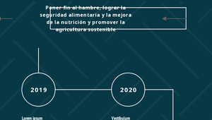 Poner Fin Al Hambre Lograr La Seguridad Alimentaria Y La Mejora De La