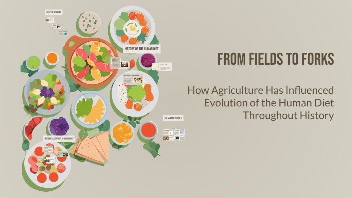 The Evolution of the Human Diet by Bella Treglia on Prezi
