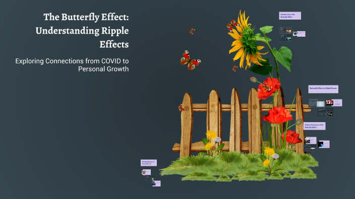 The Butterfly Effect: Understanding Ripple Effects by PH - 08MC 832779 ...
