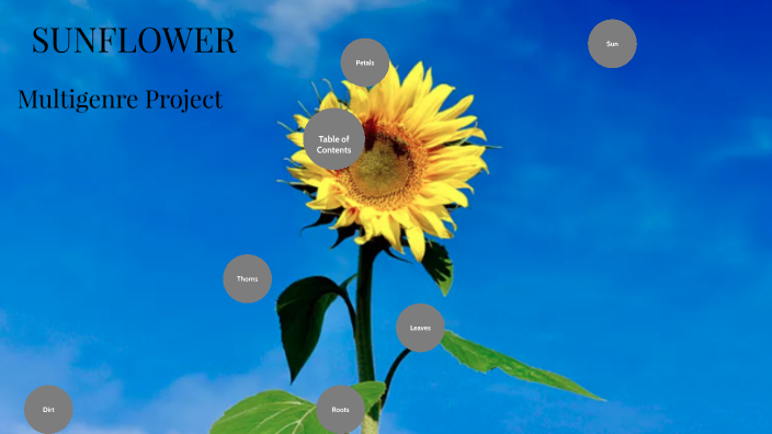 Multigenre Project Example by Sydney Crutchfield on Prezi