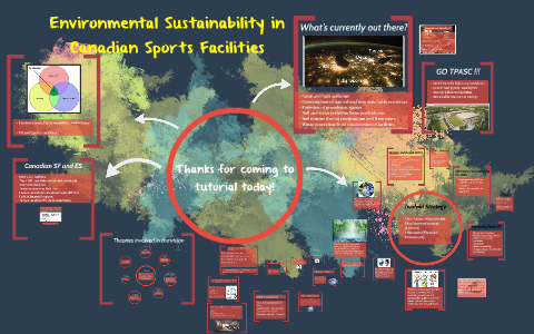 What is Environmental Sustainability? Why is it important? by Humaira Hasin