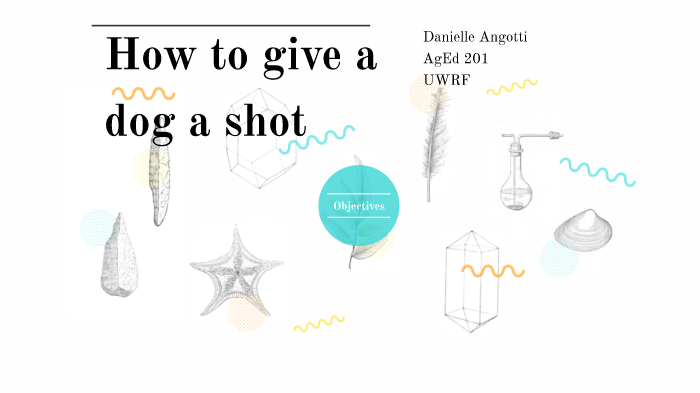 How to give a dog a shot by Danielle Angotti on Prezi