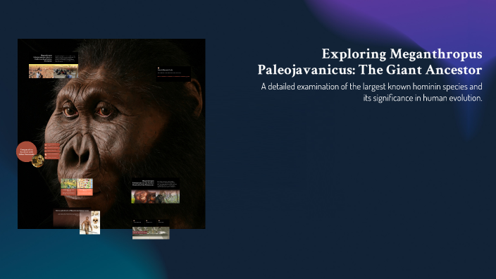 Exploring Meganthropus Paleojavanicus: The Giant Ancestor by Nayy on Prezi