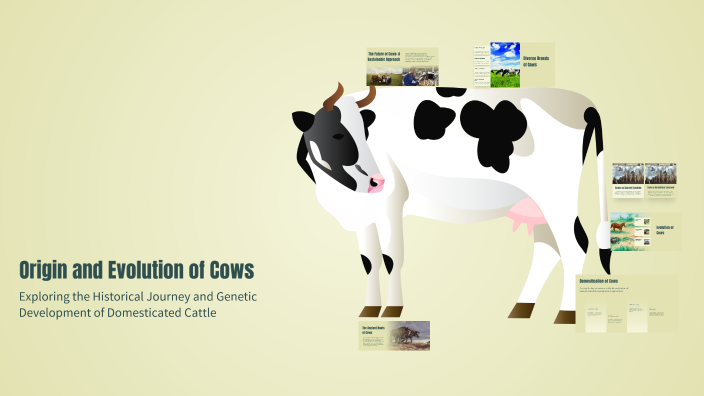 Origin and Evolution of Cows by Doris Morf on Prezi