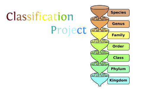 Classification Project by Alina Rivera-Campo on Prezi