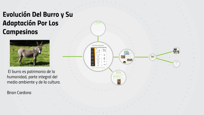 Evolucion Del Burro by Brian Cardona on Prezi
