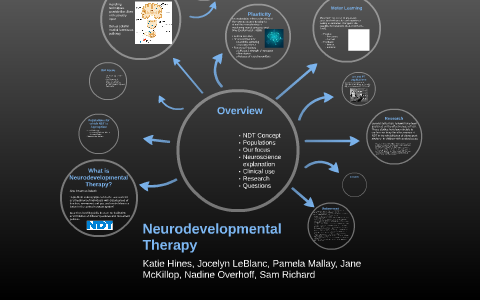 Neurodevelopmental Therapy by Nadine Overhoff on Prezi